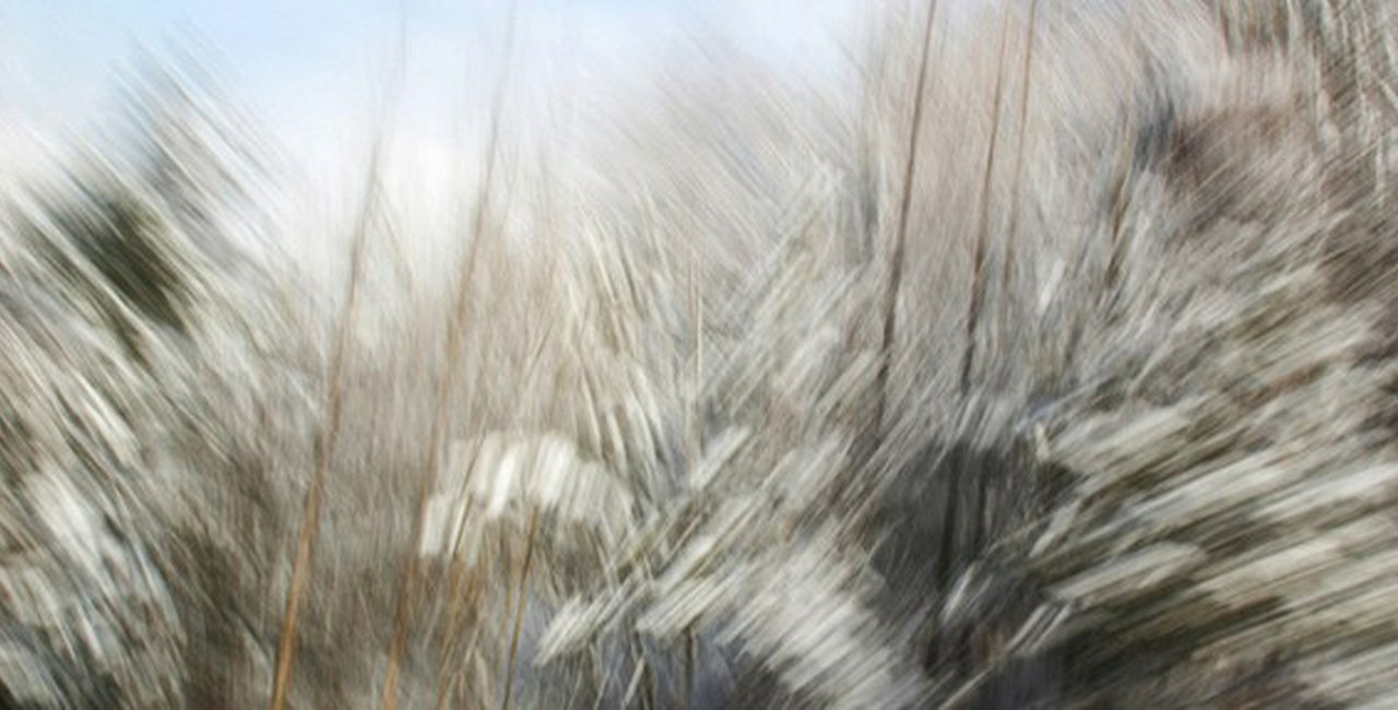 Who's Your Dada - Prague, Czech Republic