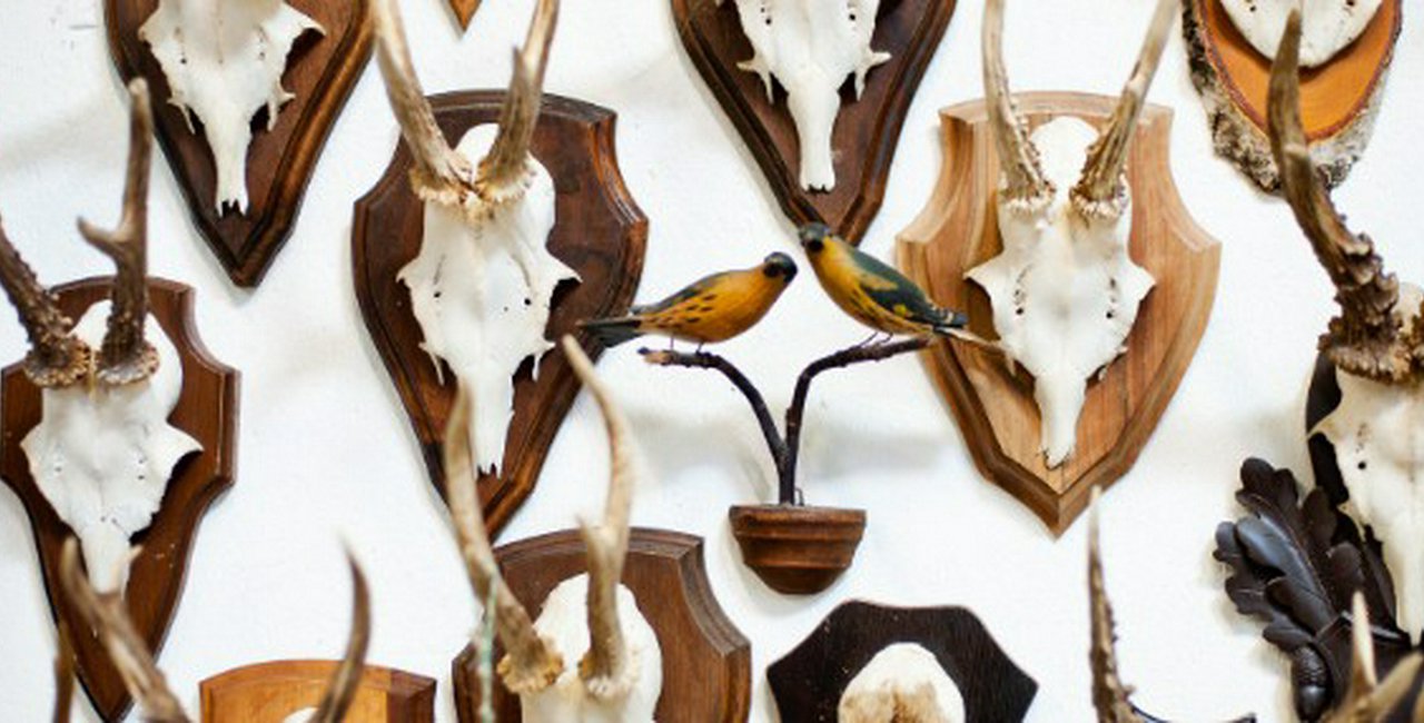 A Field Guide to Czech Hunting - Prague, Czech Republic