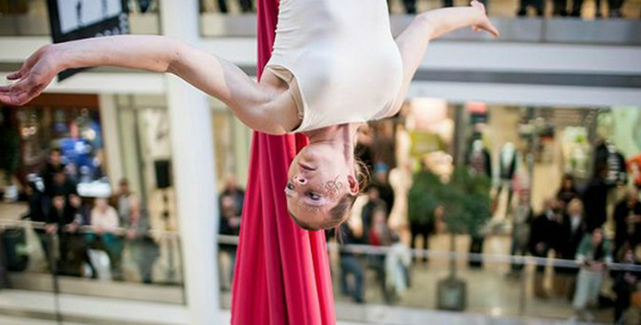 3 Thrilling New Circuses in Prague - Prague, Czech Republic