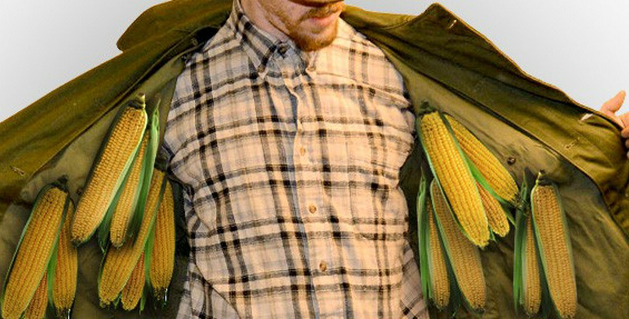 Moravian Thieves Steal 12 Hectares of Corn - Prague, Czech Republic