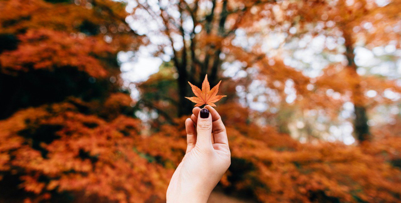 Top spots for fall foliage in Prague and beyond - Prague, Czech Republic