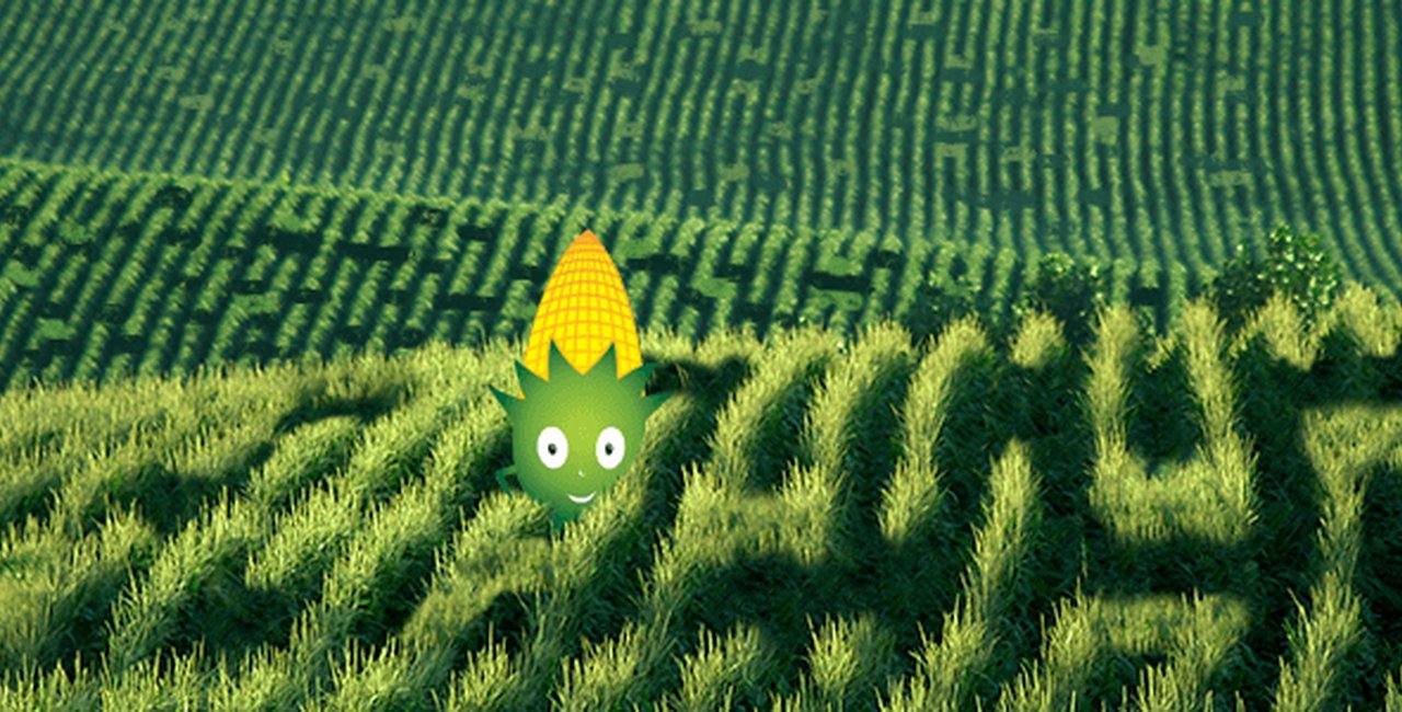 Czech Summer Craze: Corn Mazes Pop Up In Prague and Beyond - Prague ...