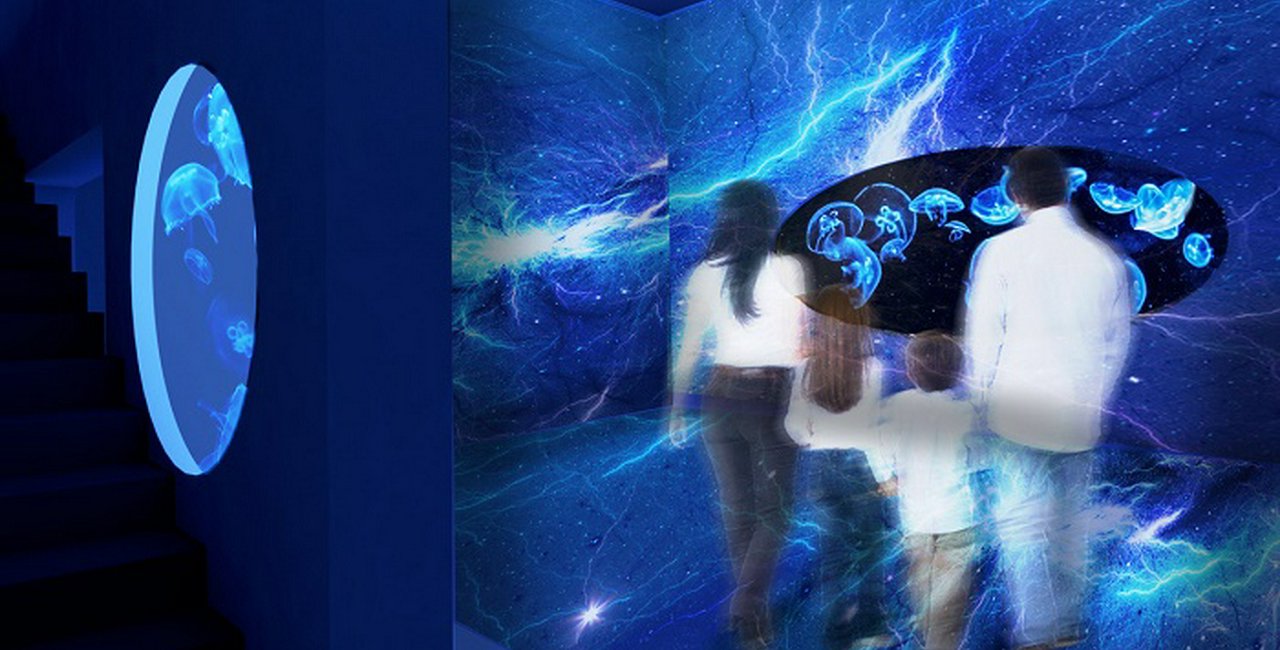 Medusa World jellyfish aquarium to spread its tentacles in Prague ...