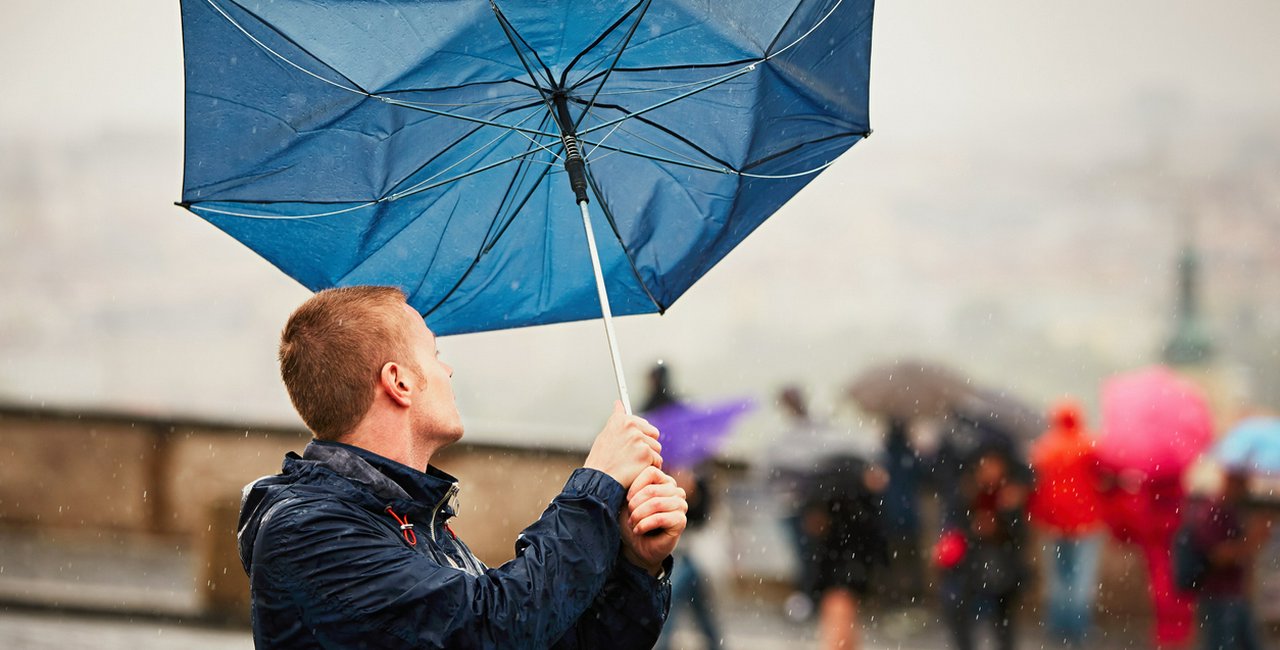 Strong winds from storm Sabine leave nearly 100,000 Czech homes without ...