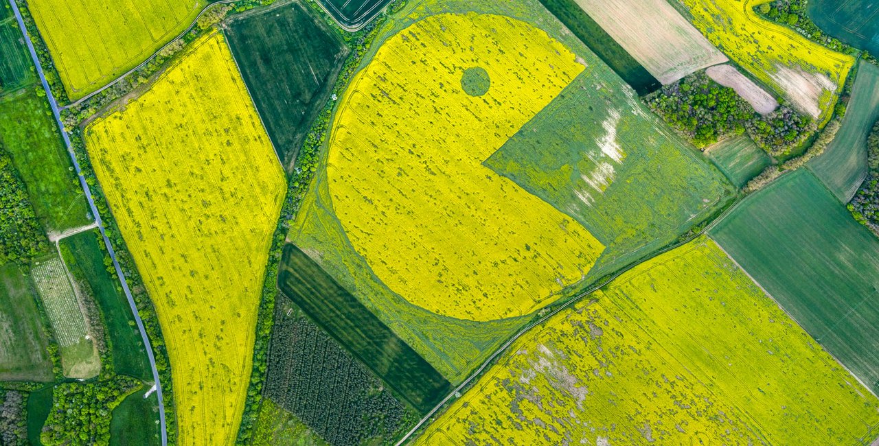 Czech activists cut giant Pac-Man into rapeseed field in protest of ...