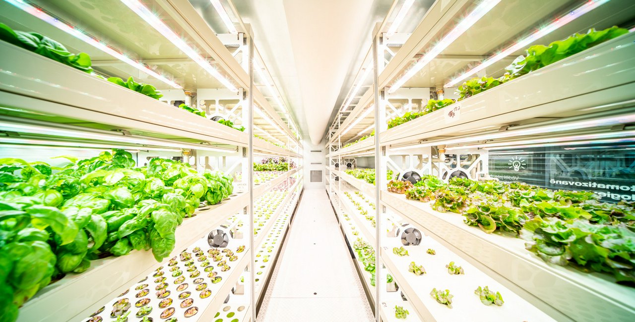 The best things to do in Prague this weekend, September 10–12 - Prague ...