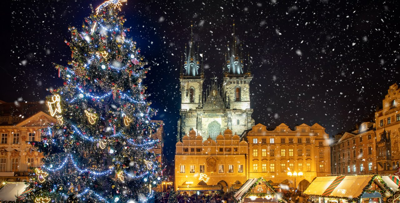 Standout Christmas trees make their way to Prague for grand reveal ...