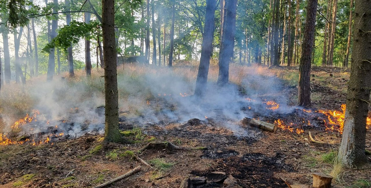 Unprecedented heatwave grips Czechia, fueling numerous wildfires ...
