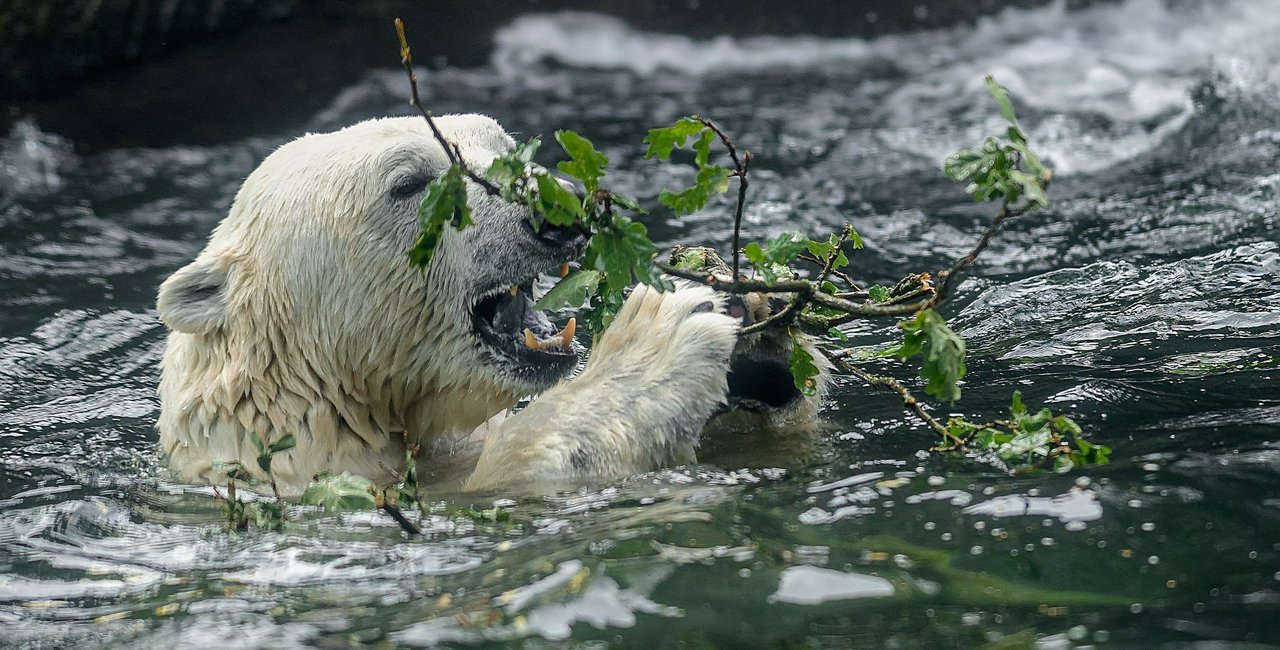 News in brief for July 16: Top headlines for Czechia on Sunday - Prague ...