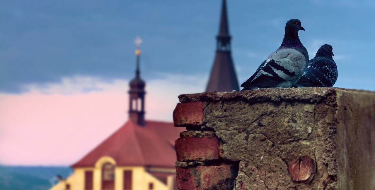 News in brief for Aug. 2: Top headlines in Czechia for Wednesday ...