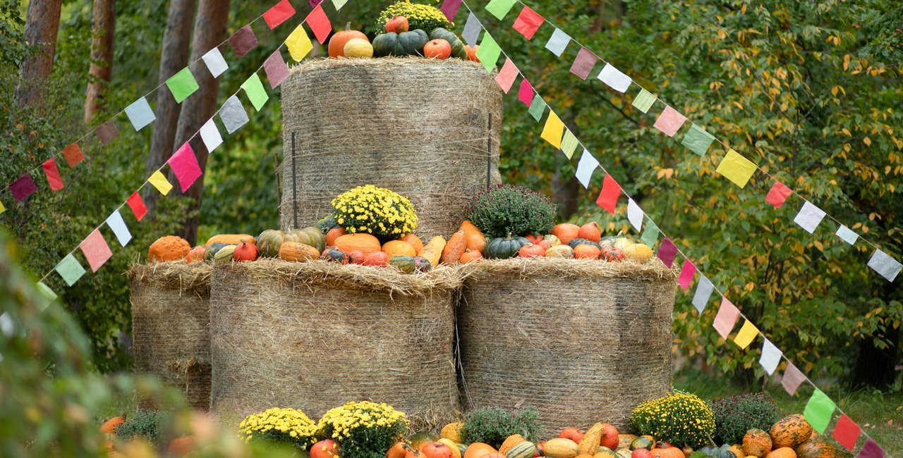 Prague's Botanical Garden kicks off Halloween season with pumpkin ...