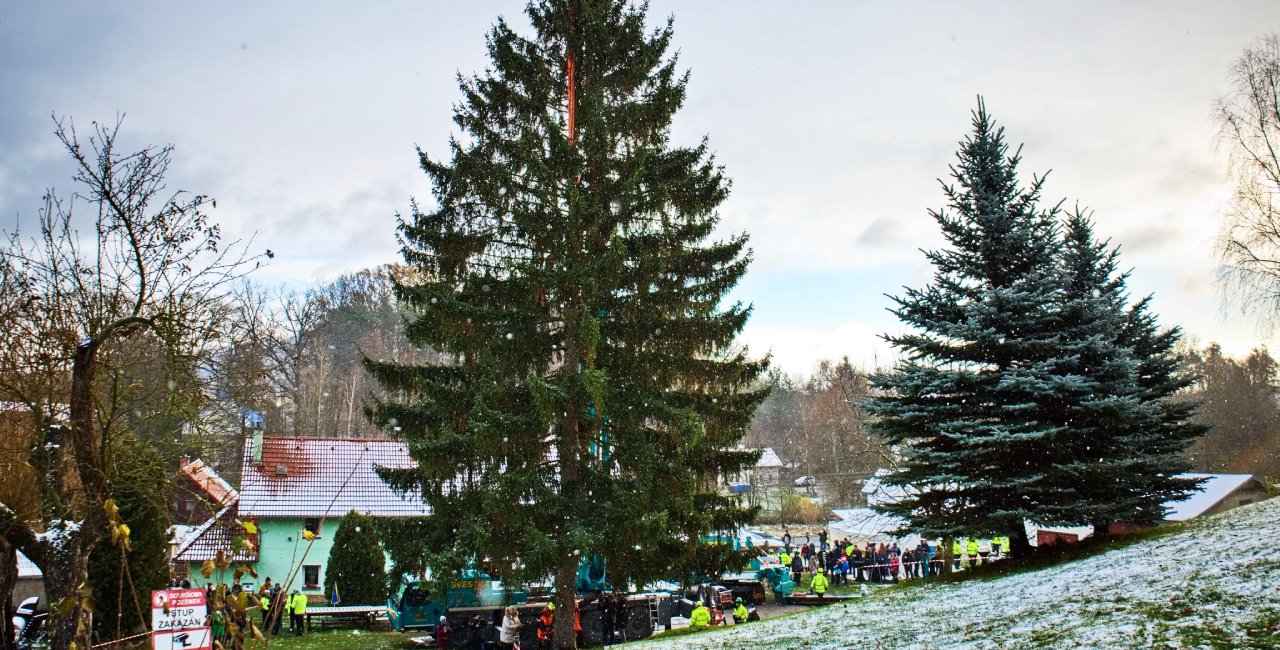 Prague's 2023 Christmas tree is on its way to Old Town Square - Prague ...