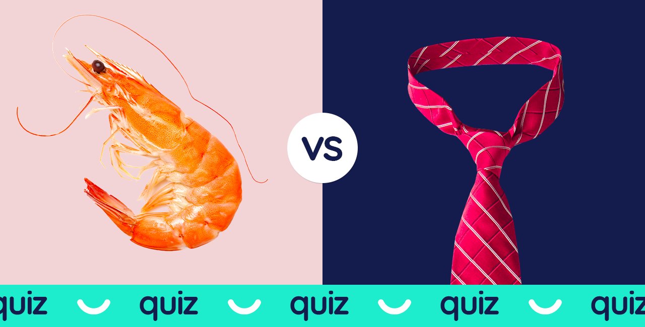 QUIZ: Test your Czech vocabulary with these tricky word pairs - Prague ...
