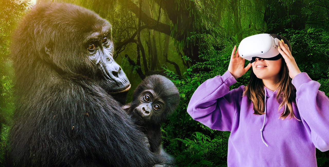 Prague Zoo opens immersive new VR center for visitors - Prague, Czech ...