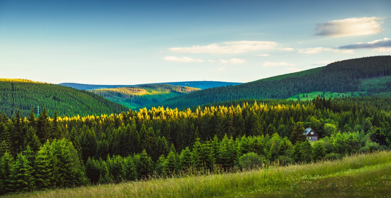 New animal species are appearing in Czechia's Krkonoše mountains ...