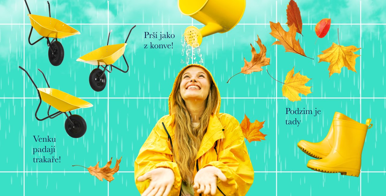 Wheelbarrows are falling! Essential Czech rain vocabulary to learn ...
