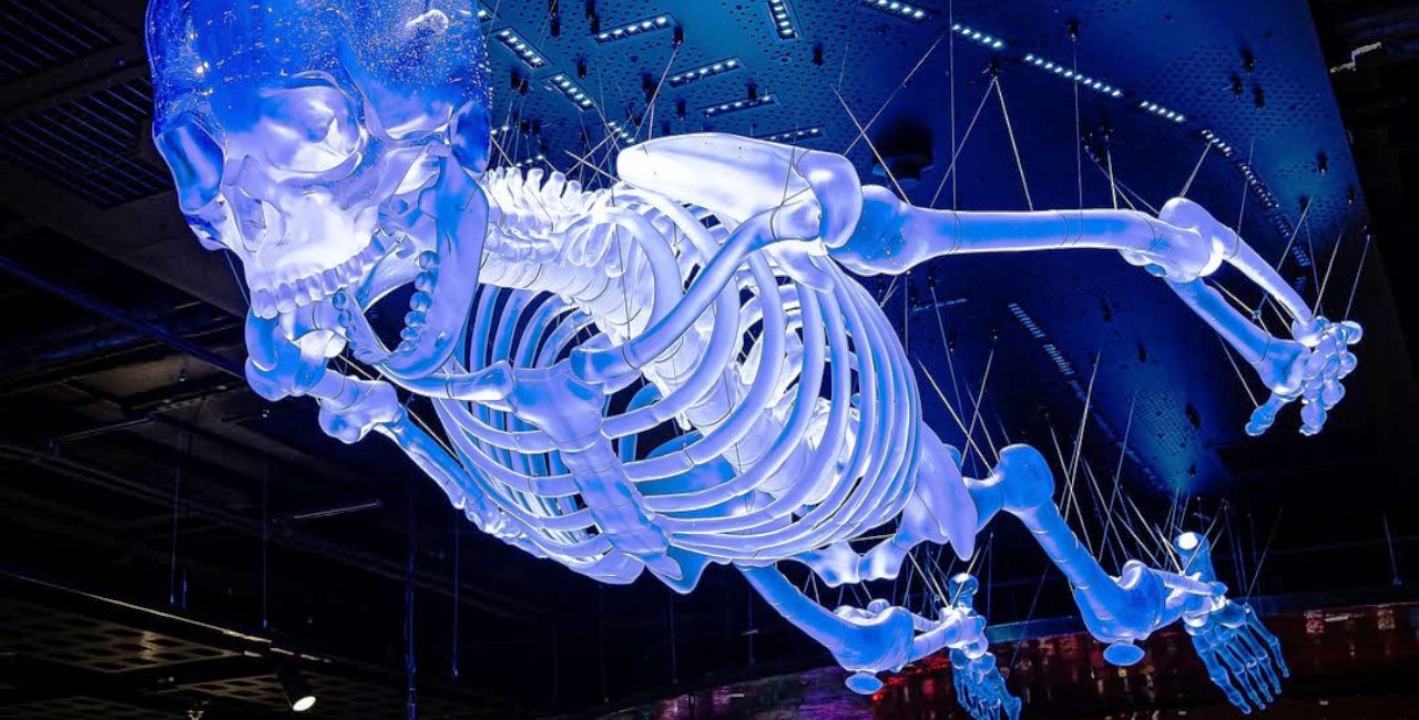 The world's largest glass skeleton is now hanging in Prague - Prague ...