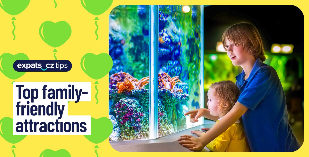 20 family-friendly attractions and activities to enjoy with kids in ...