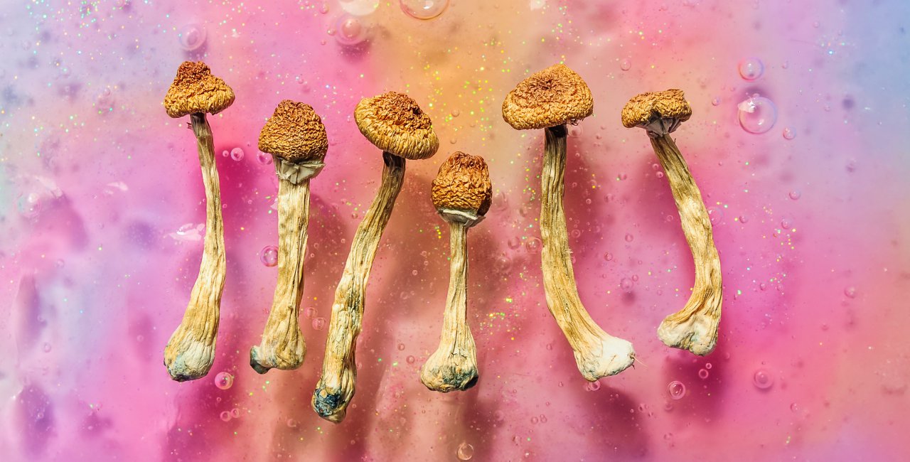 Czechia poised to legalize magic mushrooms for mental health treatment ...