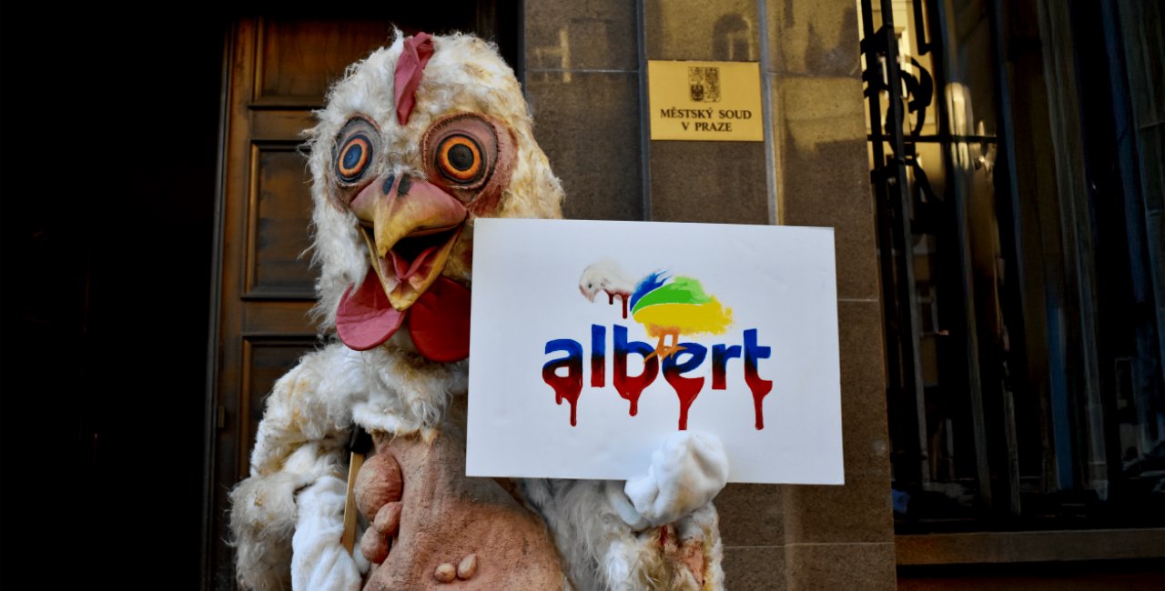 Prague court orders animal rights group to publicly apologize to Albert ...