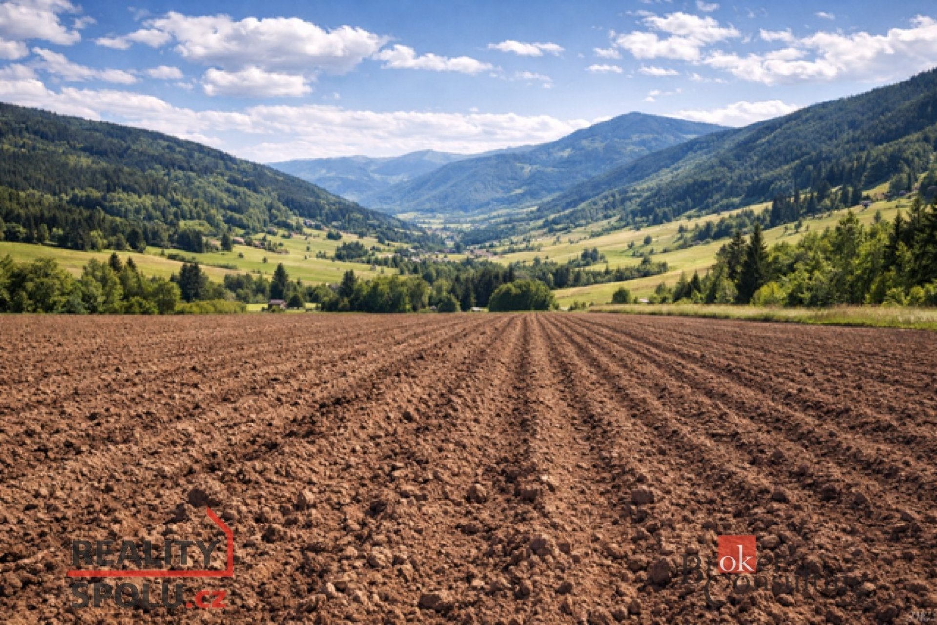 Field for sale, 46553m2, in Bohdašín