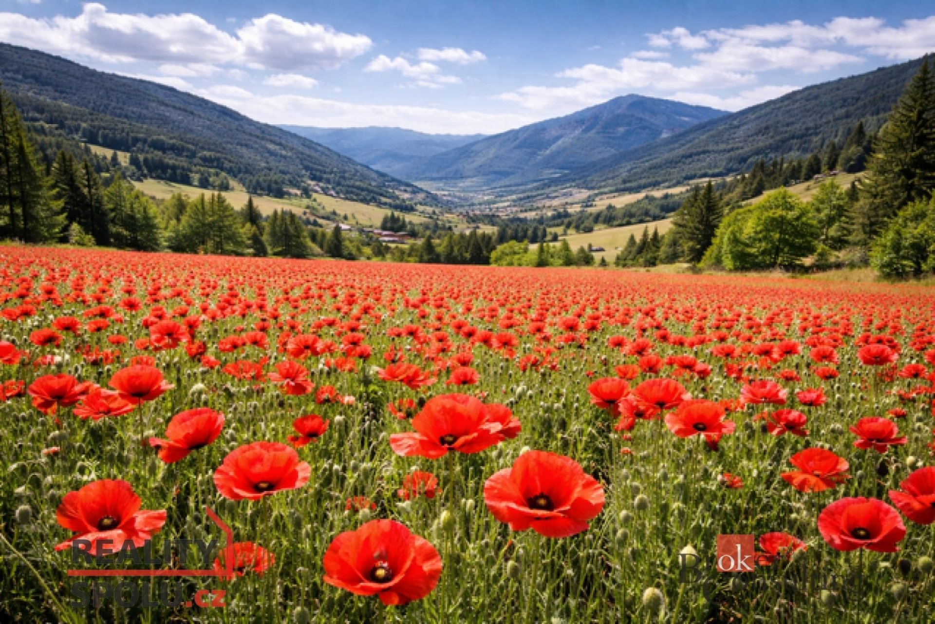 Field for sale, 46553m2, in Bohdašín