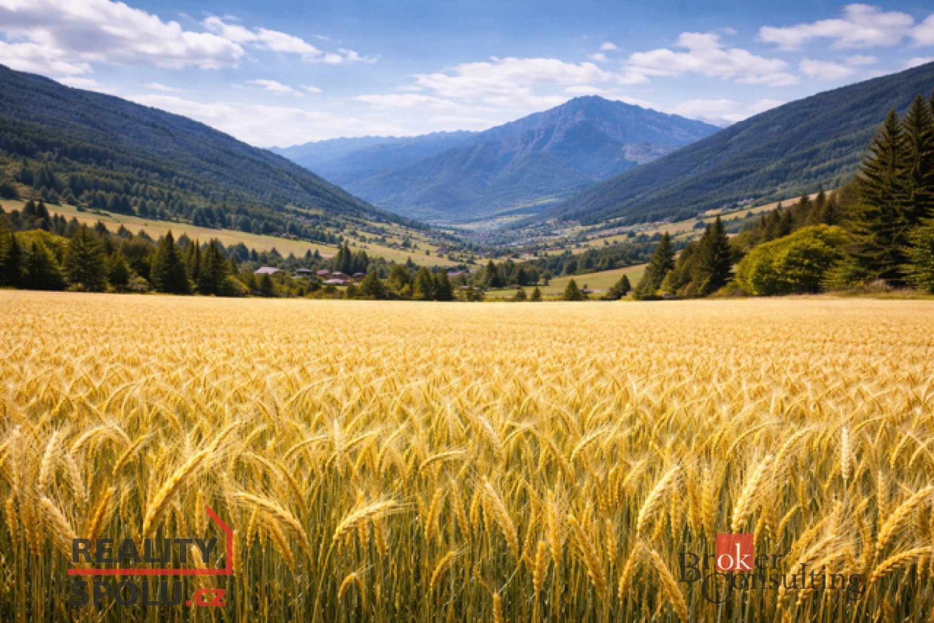 Field for sale, 46553m2, in Bohdašín