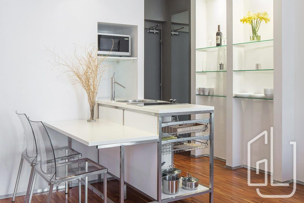 Apartment for rent, 1+KK - Studio, 30m2, in Prague, on Holečkova street