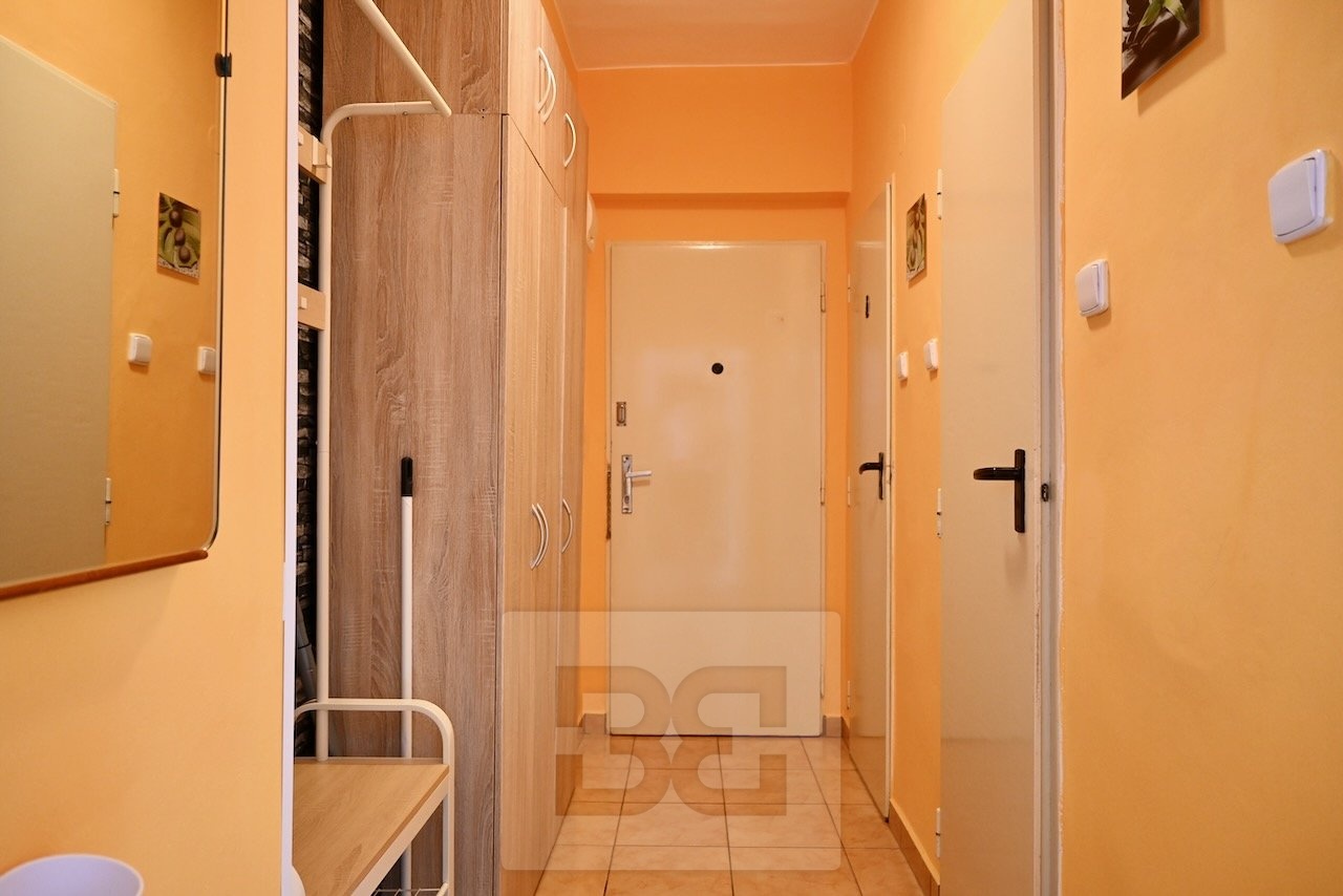 Apartment for rent, 1+1 - Studio, 42m2, in Brno