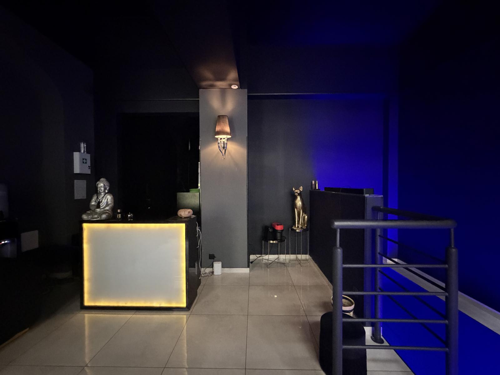 Retail space for rent, 140m2, in Prague, on Soukenická street