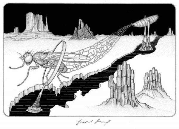 What Does PF Stand For and Why Do Czechs Use It? - Prague, Czech Republic