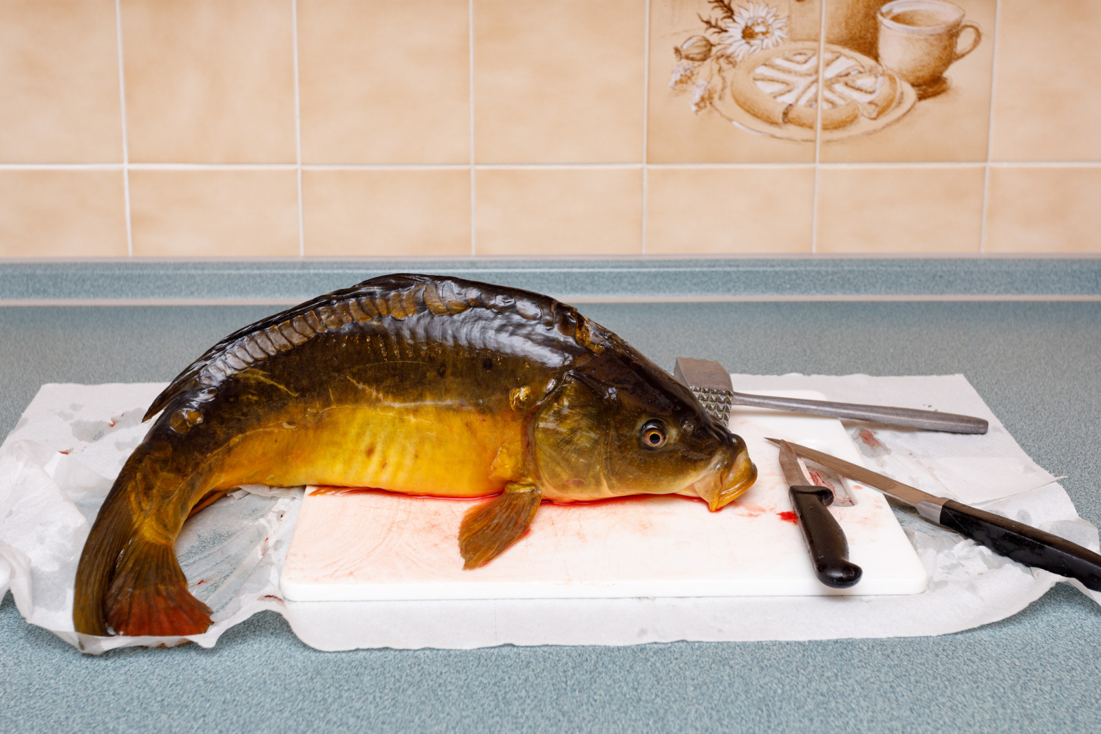 Why do Czechs eat carp for Christmas? - Prague, Czech Republic